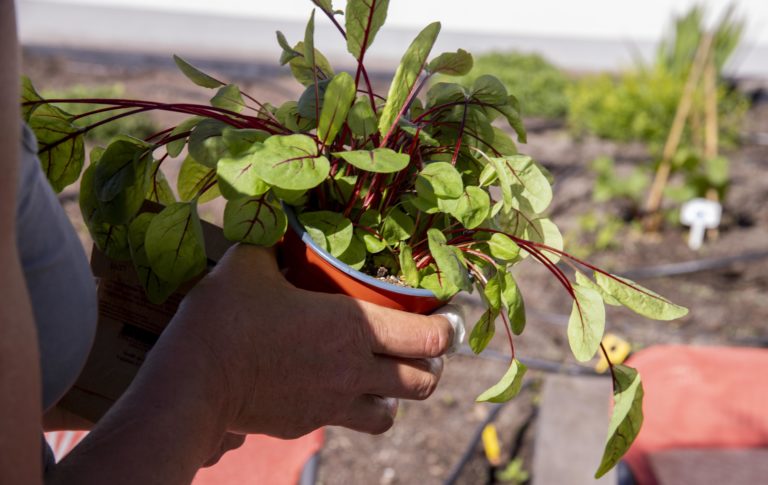 La fête au tiers-lieu / Grande Ouverture de saison – le Delta – Espace ...